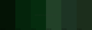 Dark Green Color Palettes - Aesthetic Color Palette