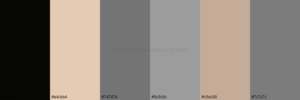 Neutral Brown Color Palettes - Aesthetic Color Palette