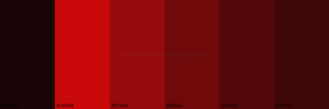 Red and Brown Color Palettes - Aesthetic Color Palette