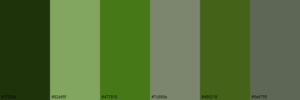Army Green Color Palettes - Aesthetic Color Palette