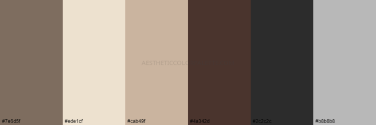Brown and Grey Color Palettes - Aesthetic Color Palette