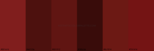 Red and Brown Color Palettes - Aesthetic Color Palette