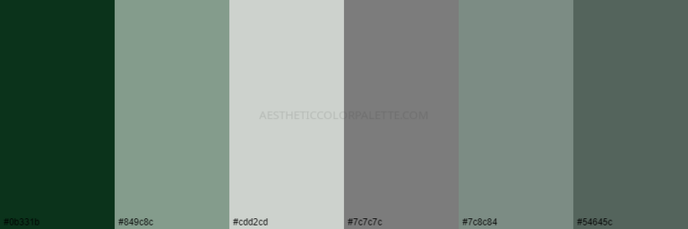 Hunter Green Color Palettes - Aesthetic Color Palette